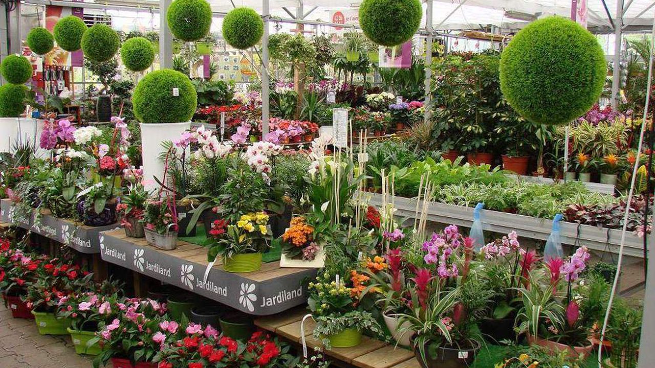 Groupe Jardiland - L-GAM